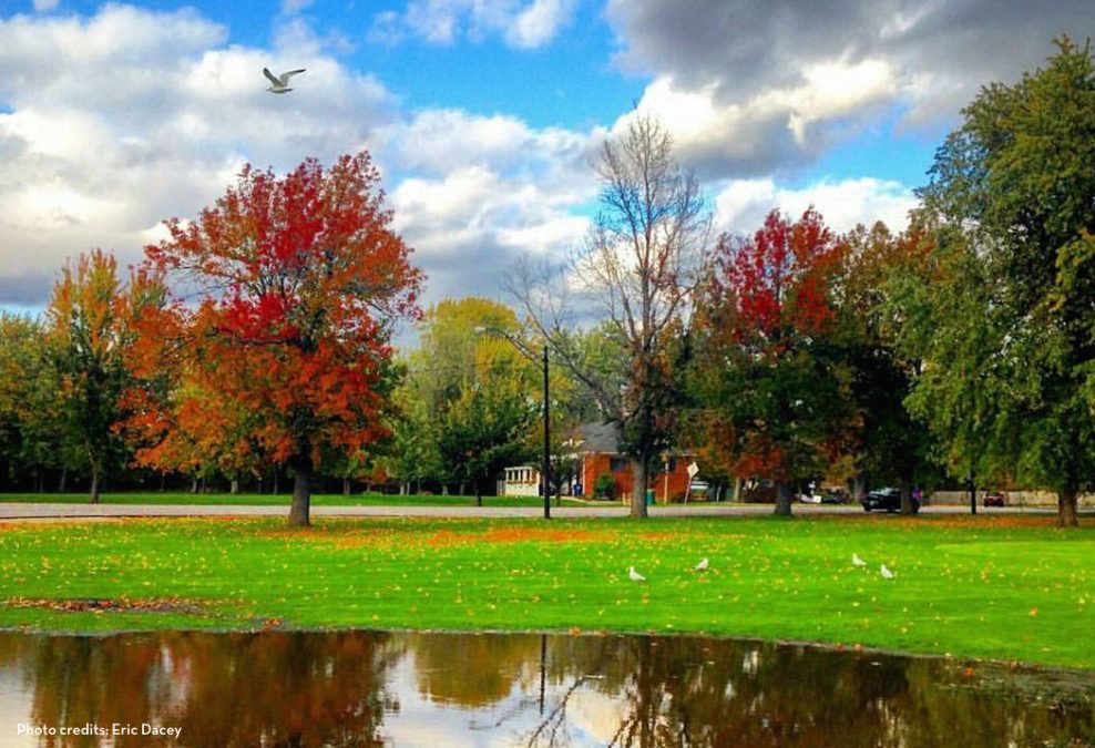 David Colligan: Arboretums are an Asset | News | Buffalo Olmsted Parks ...